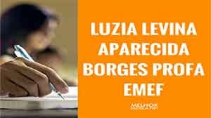 Emef Profª Luzia Levina Aparecida Borges Ache Cartões
